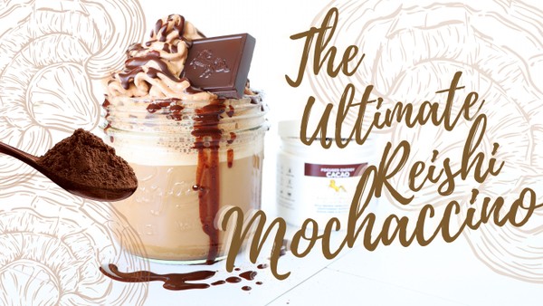 The Ultimate Reishi Mushroom Mochaccino – Addictive Wellness