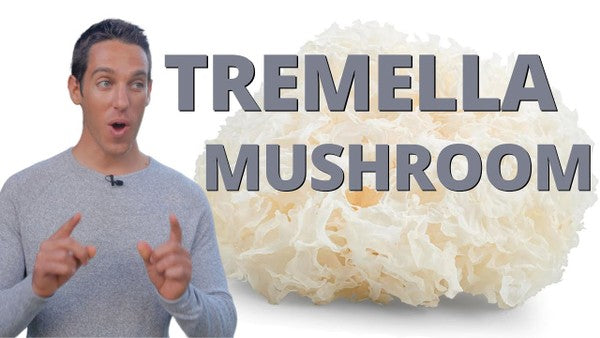 Benefits of Tremella Mushroom – Addictive Wellness